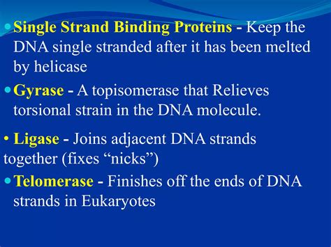 DNA Replication PPTX