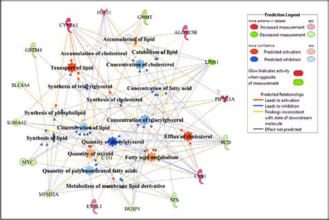 Lipid Metabolism Gene And Molecular Processes Interaction Network
