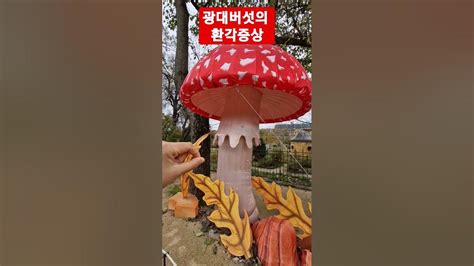 이상한 나라의 앨리스와 광대버섯의 연관성 Youtube