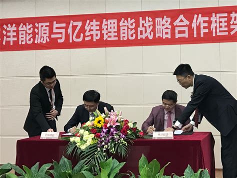 林洋能源和亿纬锂能强强联手，共创双赢新未来！