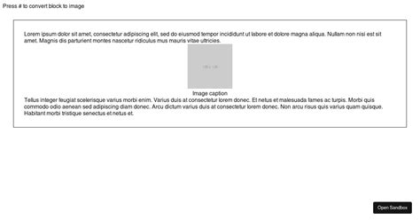 Draft Js Image Block With Caption Codesandbox