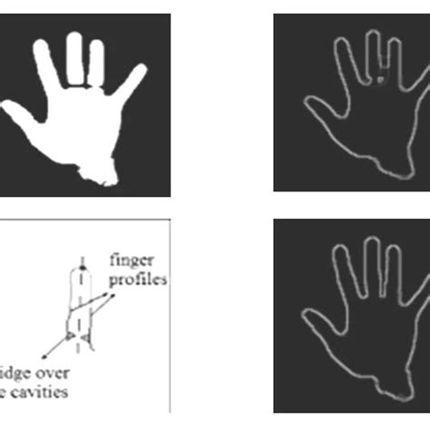 An Example Of Ring Artifact Removal Download Scientific Diagram