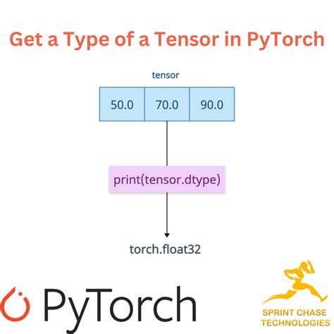 How To Get A Type Of A Tensor In Pytorch