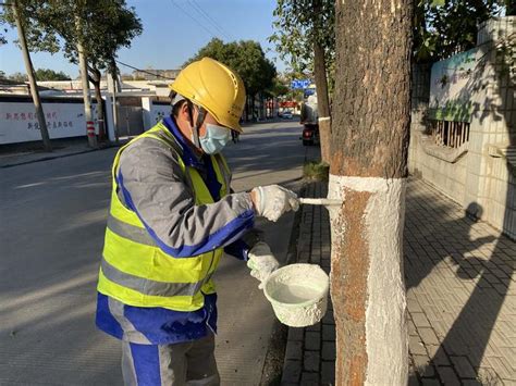 2022年11月园林绿化养护月历已更新！！ 知乎