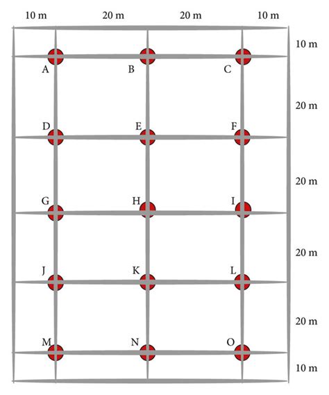 Data Sampling Plot Design And Distribution Of Replication Download