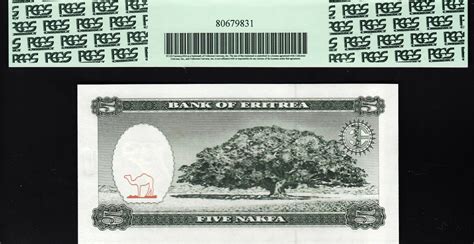 Eritrea 5 Nakfa 1997 Pcgs 66 Gem New Unc Ppq P 2 Prefix Aa Fortumor Numismatic Center