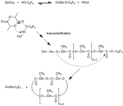 Syntheses Of Polylactides By Means Of Tin Catalysts Polymer Chemistry
