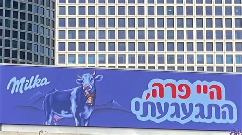 מסי ורונאלדו של השוקולד מילקה מפרגנים לפרה של עלית וואלה כסף