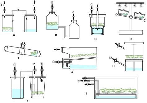 Configurations Of Temporary Immersion Bioreactors A Twin Flask Download Scientific Diagram