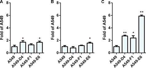 Binding Internalization And Transduction Efficiency Of Hadv26 In A549