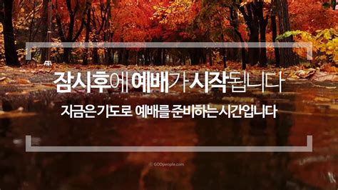 [무료저작권 No Copyright 예배인트로 영상] 기독교 바탕화면 가을비 공원 낙엽 소니a7 Youtube