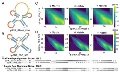 Alignment Example Between Two Trna Structures A B Structures Download Scientific Diagram