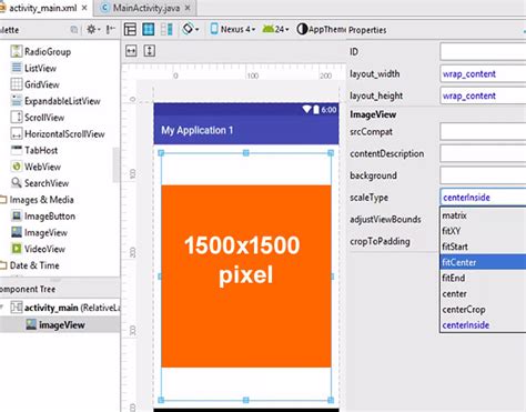 Imageview Example Display Image