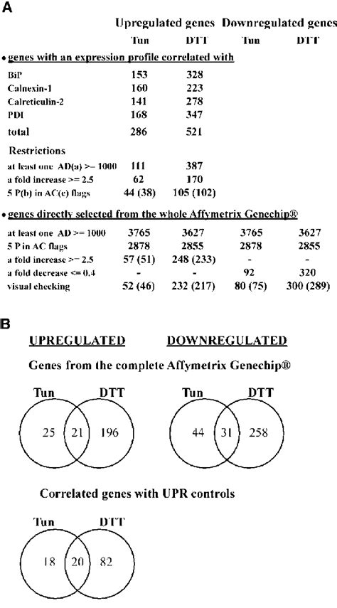 Overview Of The Dna Array Profiles Of Upregulated And Downregulated Download Scientific Diagram