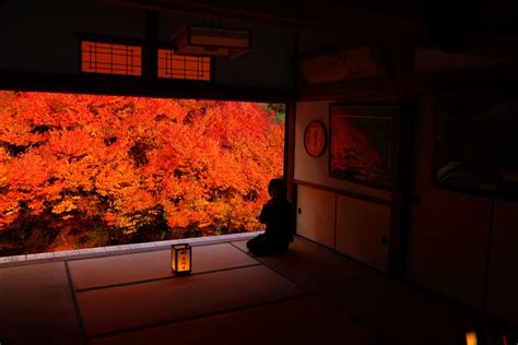 紅葉の宴 GANREF