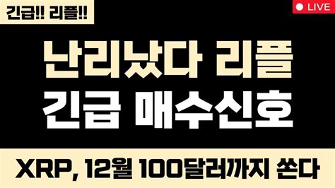 리플 정말 미쳤습니다 난리났다 리플 긴급 매수신호 Xrp 12월 100달러까지 쏜다 Xrp 무조건 올라요 리플 리플코인 리플전망 Youtube