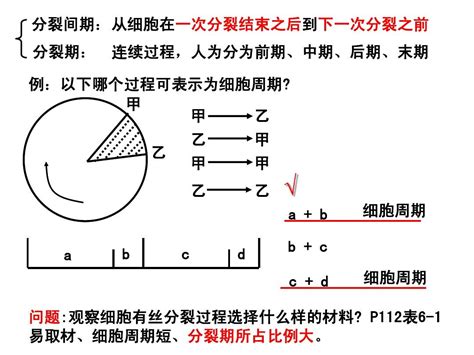 25a1 B1 Ca Bc C7 A1 A2 D1 A7 Cf B0 C4 Da C8 Dd Ba Cd C1 B7 Cf B0 B2 Ce Bf Bc B4 F0 B0 B8 Word文档