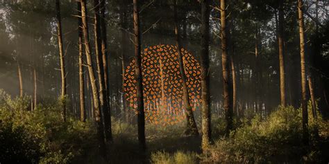 Loréal Acquires Lactobio To Support Its Microbiome Research