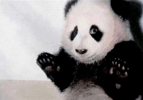 Sravani Gouni On Linkedin Marketing Work