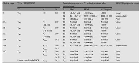 Testicular Seminoma And Non Seminoma Esmo Clinical Practice Guidelines