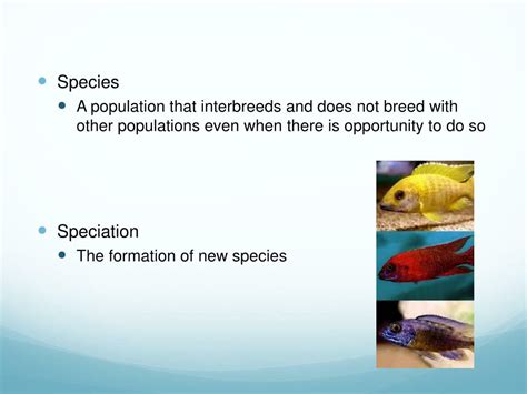 PPT Speciation PowerPoint Presentation Free Download ID
