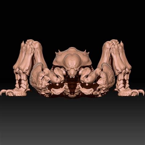 💍 Gnoster Wisdom Of Night Elden Ring Nightreign・ Stl File For 3d