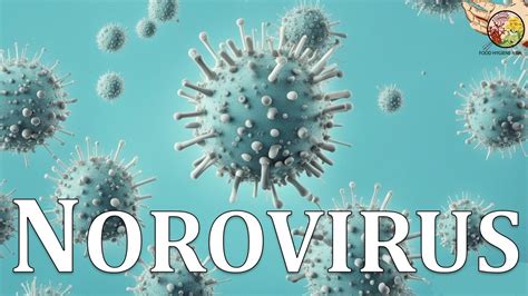 Norovirus Norwalk Virus