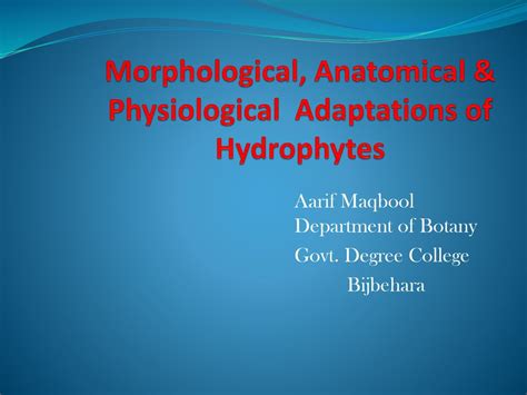 Ecological Adaptations Of Hydrophytes Ppt By Easybiologyclass