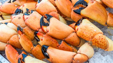 17 Iconic Florida Foods You Need To Try