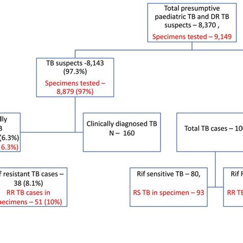 Flow Chart Of Presumptive Tb And Dr Tb Case Enrolment And Tb Detection Download Scientific