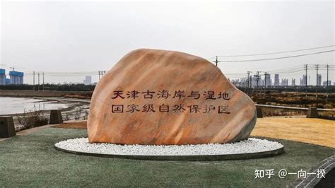 贝壳堤湿地公园 知乎