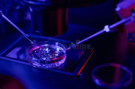 Close Up Micromanipulator Doing Fertilization Of Female Cell Stock Image Image Of Cultivation