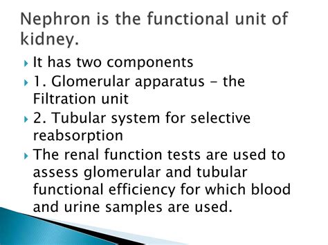 Renal Function Tests Pptx