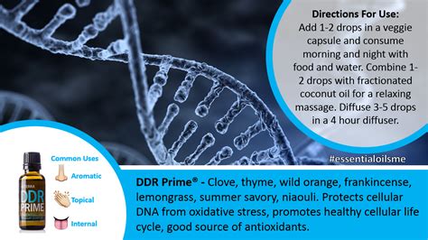 Repair Dna With Doterra Ddr Prime Oil Blend