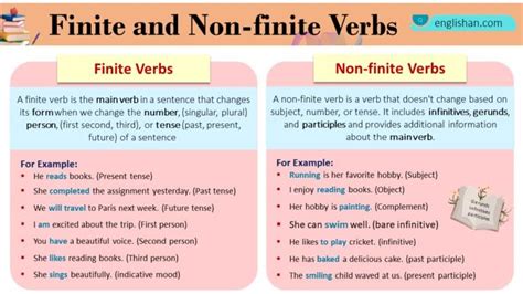 Finite And Nonfinite Verbs In English With Examples • Englishan