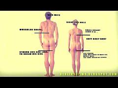 Shemale Anatomy Xxx Mobile Porno Videos Movies IPornTV Net