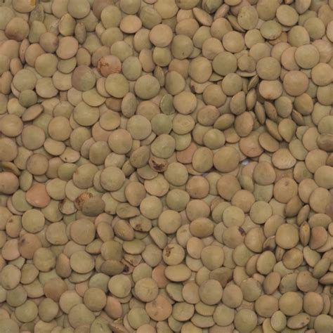 Eston Lentils Canfarmpulse