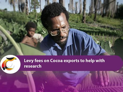 Cocoa Research Institute Archives Post Courier