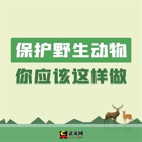 保护野生动物，你应该这样做！ 新冠感染 健康科普 滁州市疾病预防控制中心