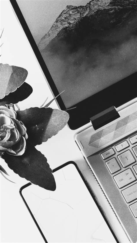 30 Celebration Of Life Speech Examples To Honor A Loved One