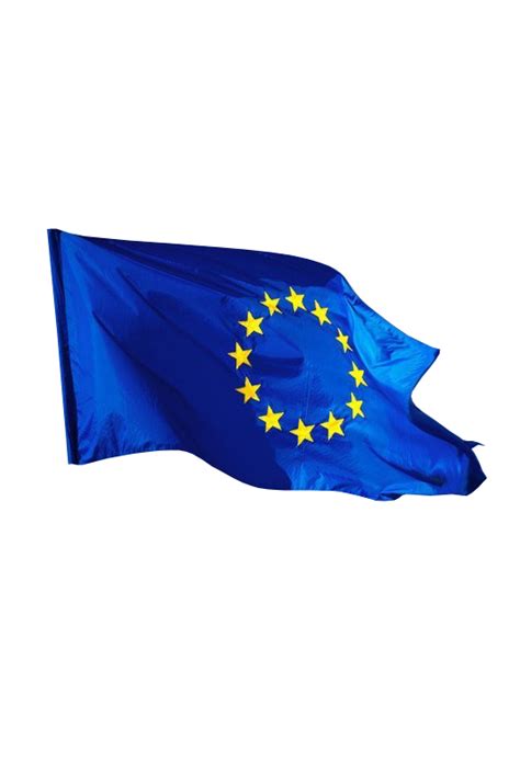 დროშა პლასმასის ტარით ევროკავშირი