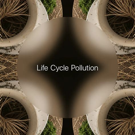 Life Cycle Pollution → Term