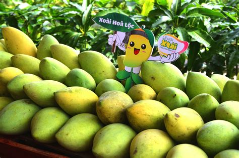 Lần đầu Tiên Tổ Chức Lễ Hội Xoài Đồng Tháp