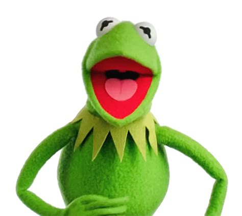 Kermit The Frog Through The Years Muppet Wiki