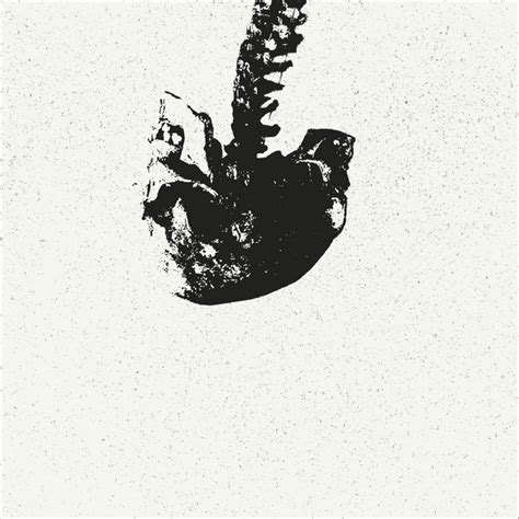 Circuit Circuit Split Reviews