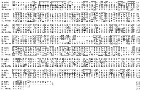 sequence alignment of b subtilis gpsa and homologous proteins the