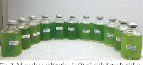 Figure 1 From Comparison Of Hydrogen Production In Microalgae Under Autotrophic And Mixotrophic