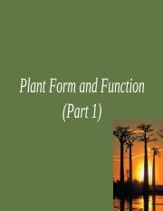 Plant Form Function Part 1 Compressed Pptx Plant Form And Function Part 1 Key Concepts 1 What