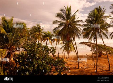 The Coast At The Beach In The Town Of Cuacuco On The Isla Margarita In