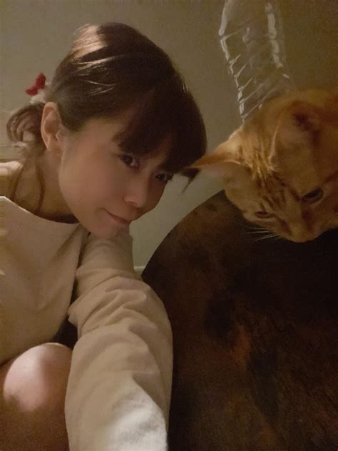 お酒辞めて Day 341 お仕事をお昼過ぎまでし 帰ってごはんを食べたら 疲れたみたいで爆睡しました もうさっそく へなちょこ体力 仕事は